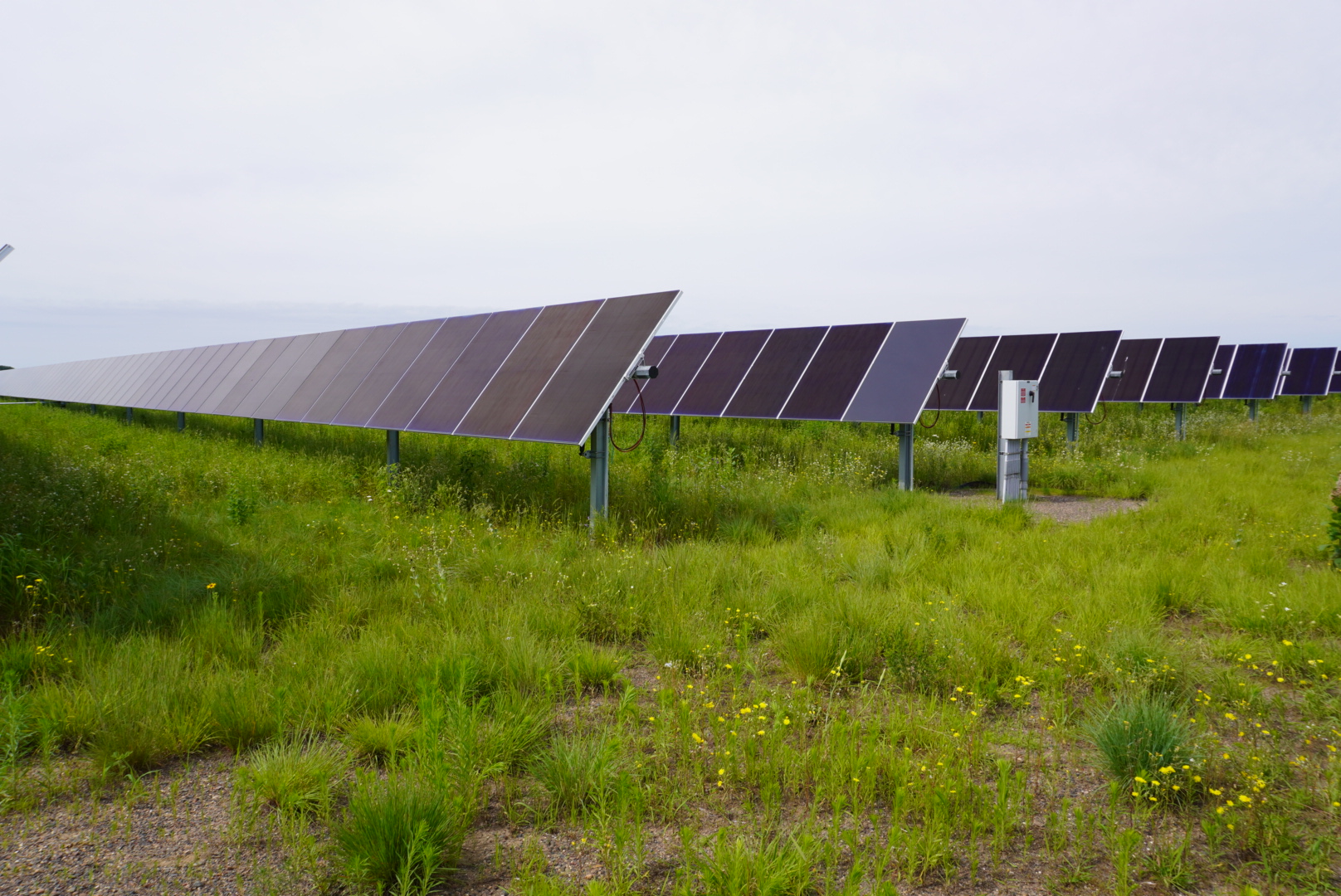 Microsoft Signs Power Purchase Agreement for Portage Solar